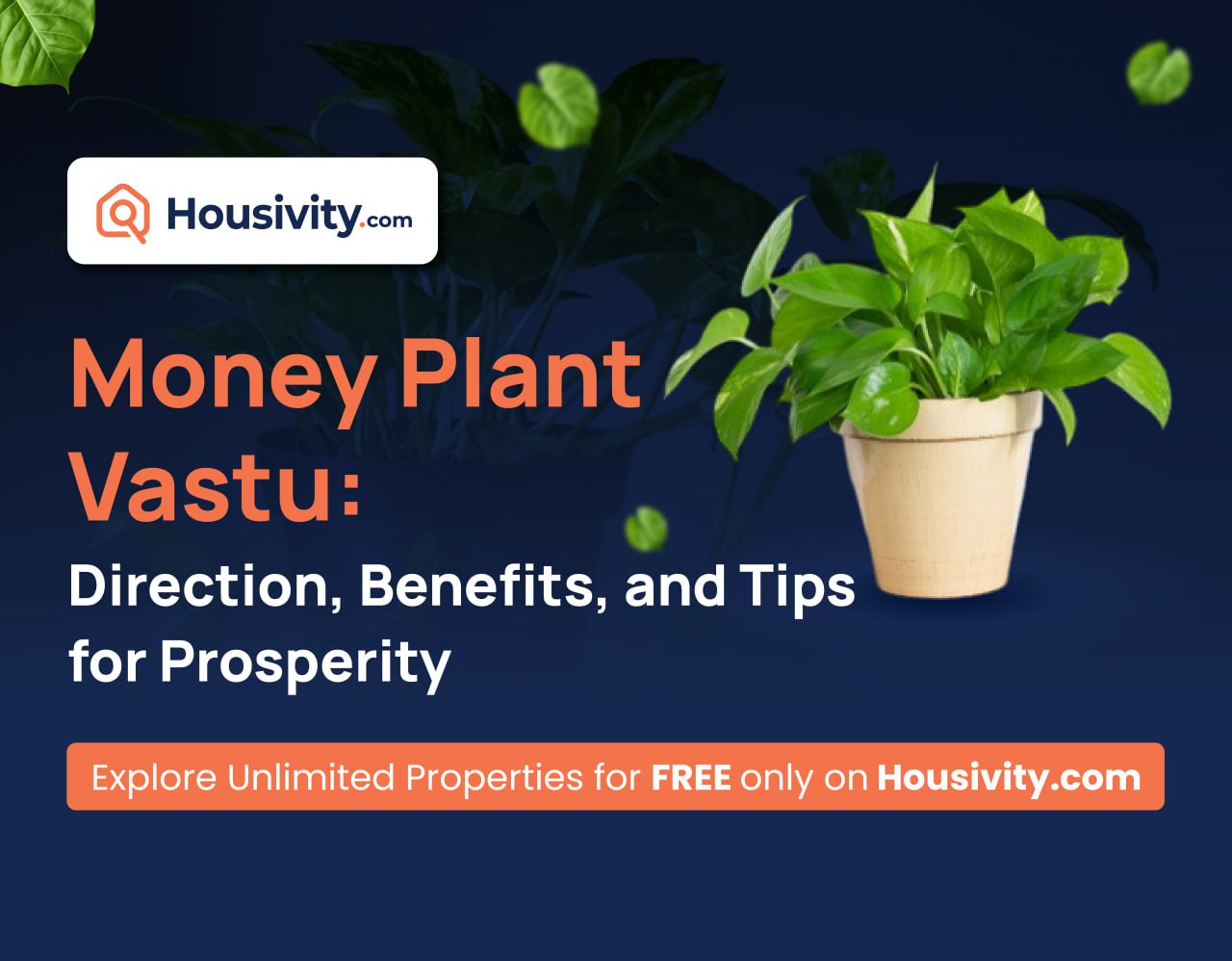 Money Plant Vastu: Direction, Benefits, and Tips for Prosperity